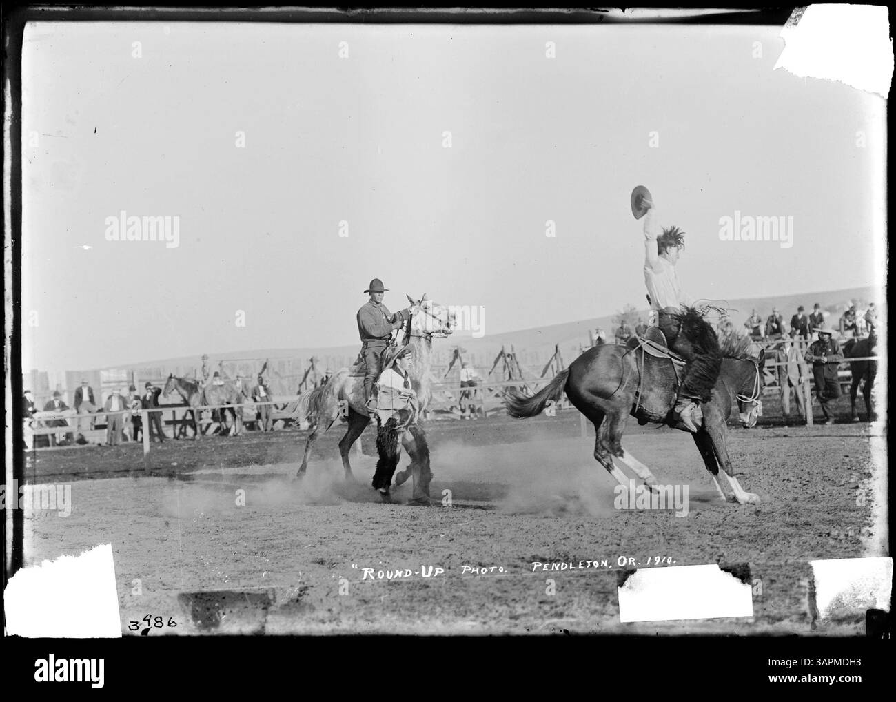 This Lee Moorhouse photograph shows bucking horses, captured with an ...