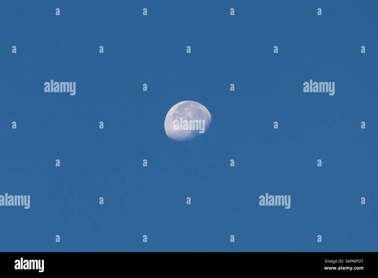 Stunning white waxing gibbous moon phase with clear light blue sky at ...