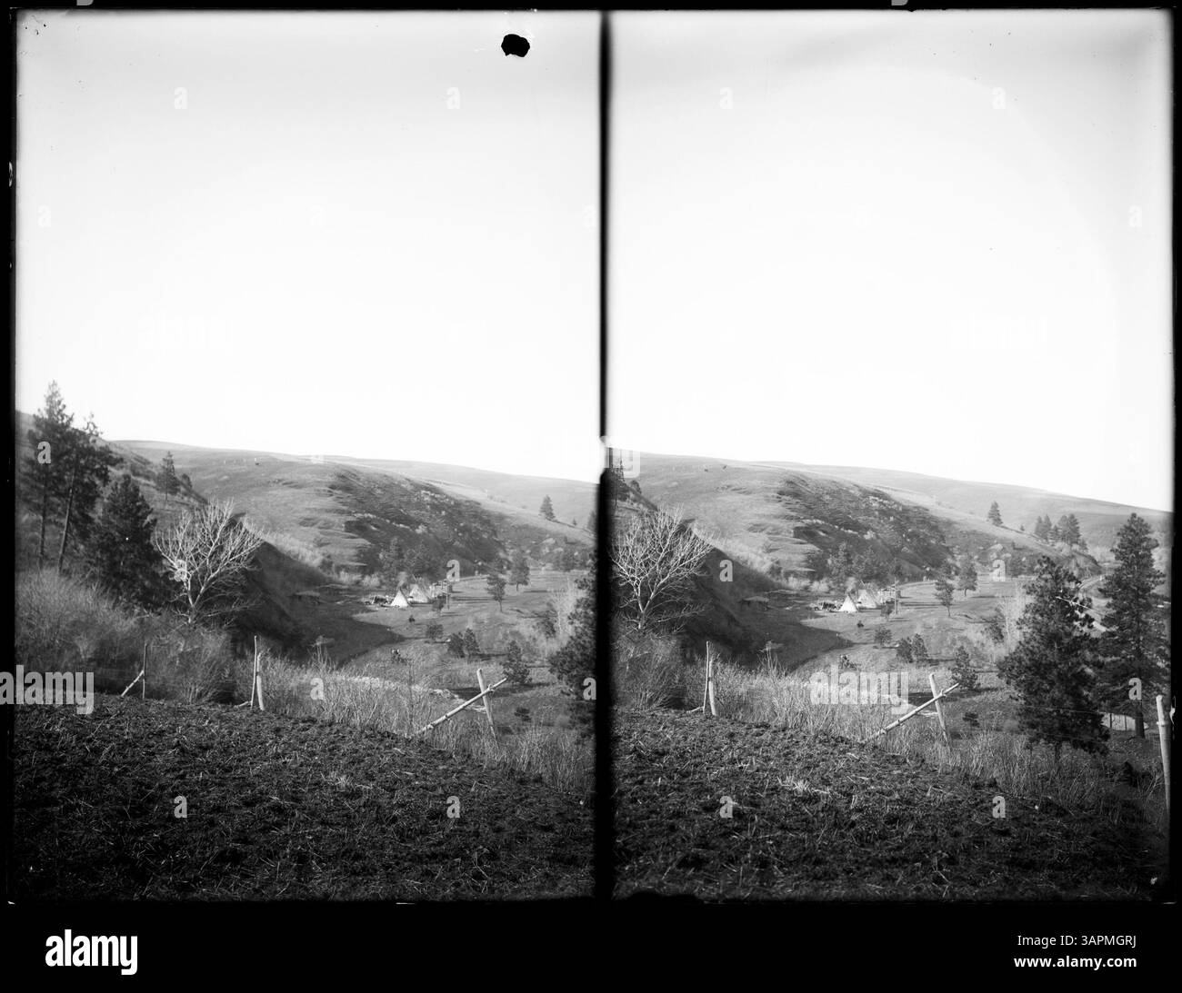 PH036 6151 by Lee Moorhouse captures camps on the Umatilla Indian ...