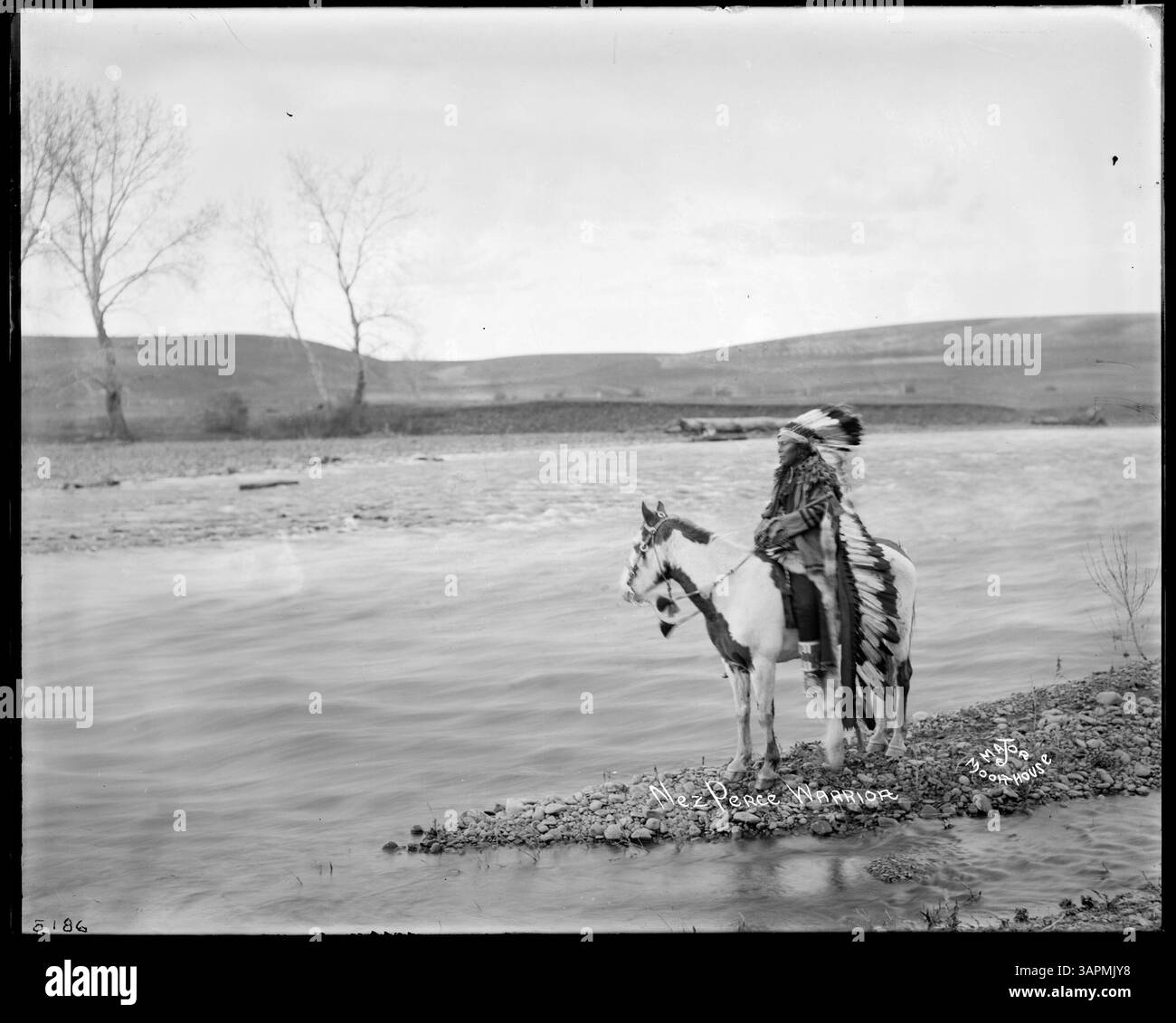 Nez perce indian horse hi-res stock photography and images - Alamy