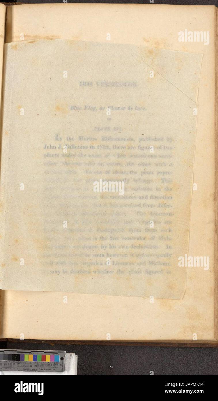This text presents an anthology of native medicinal plants from the U.S ...