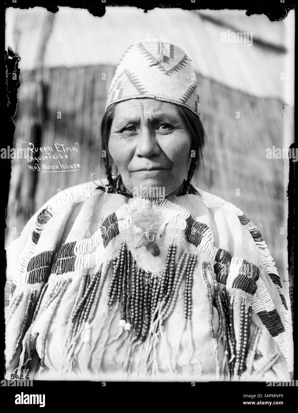 Photograph of Queen Etna, a Cayuse tribal woman, dressed in traditional ...