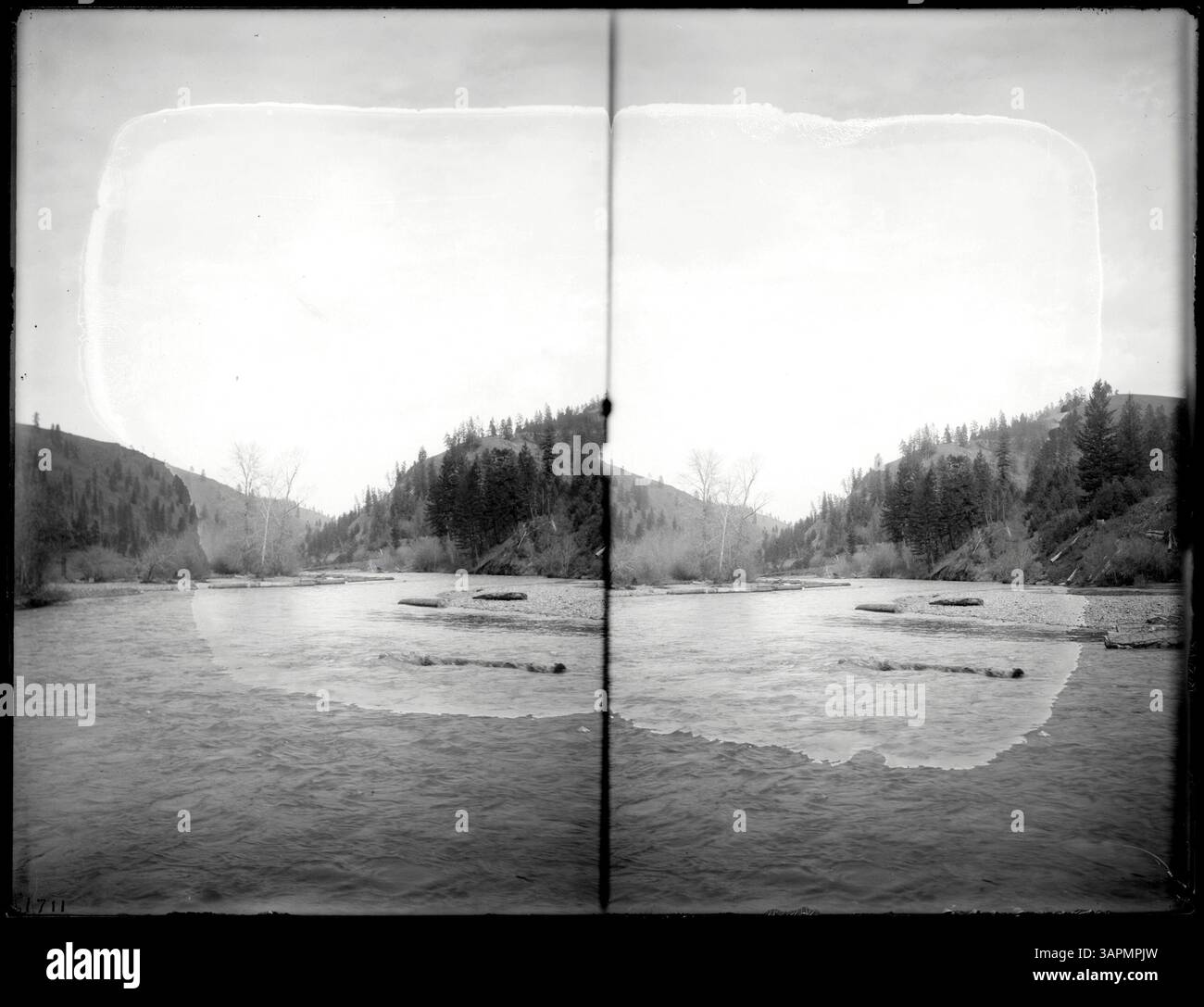 Logs floating down the Grande Ronde River near Hilgard, Oregon ...