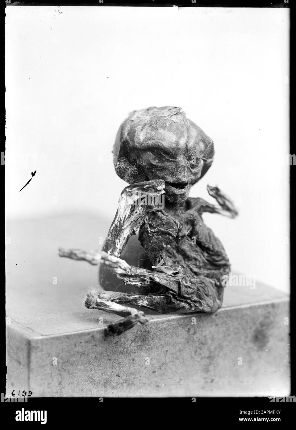 A photograph by Lee Moorhouse of a tribal mummy. The image offers an ...