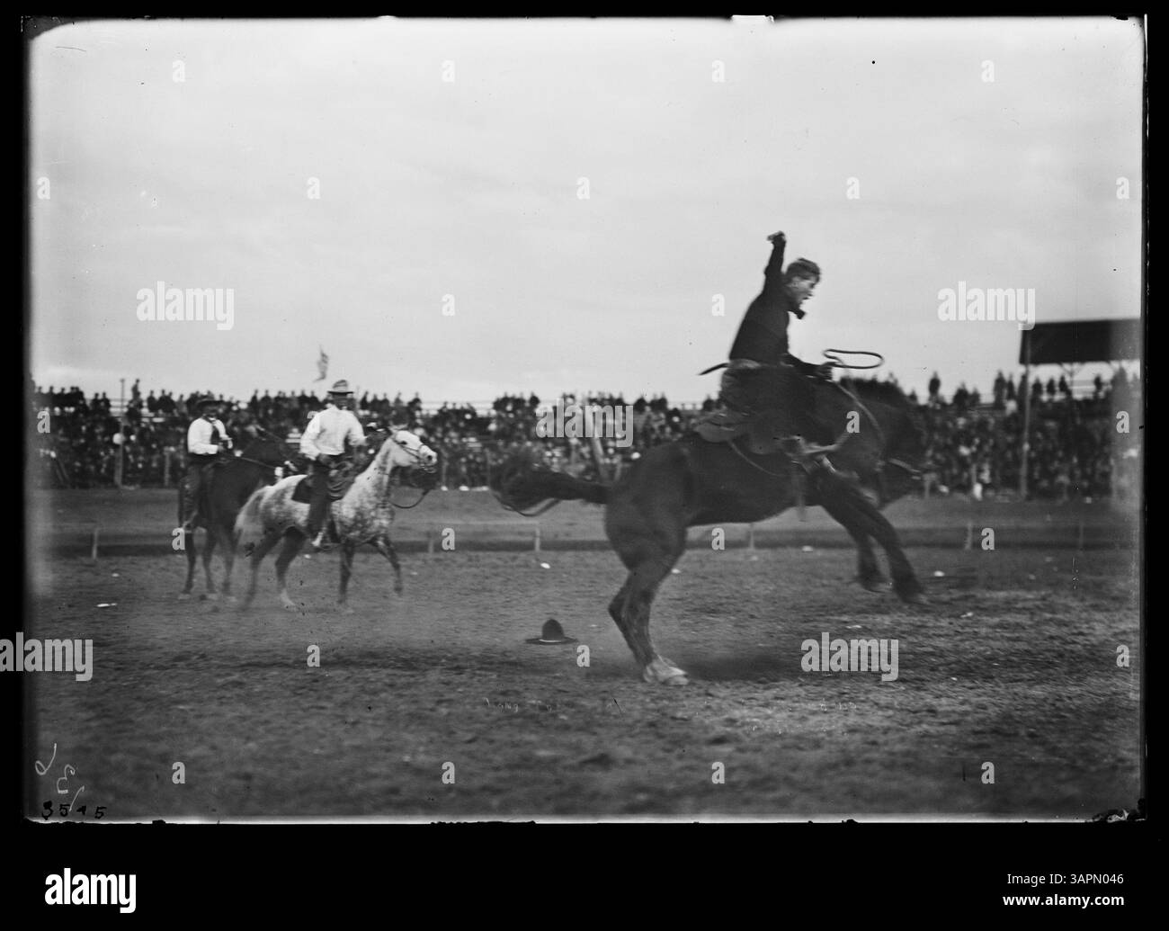The image shows a bucking horse named Long Tom, captured in action ...