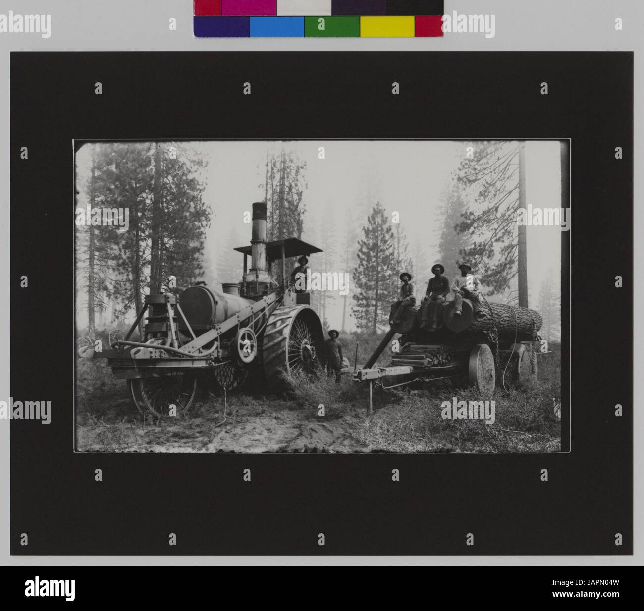 Photograph showing a three-wheel traction engine and log cart used in ...