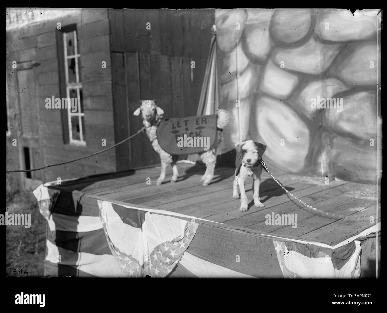 This Lee Moorhouse photograph captures a goat and a dog, mascots of ...