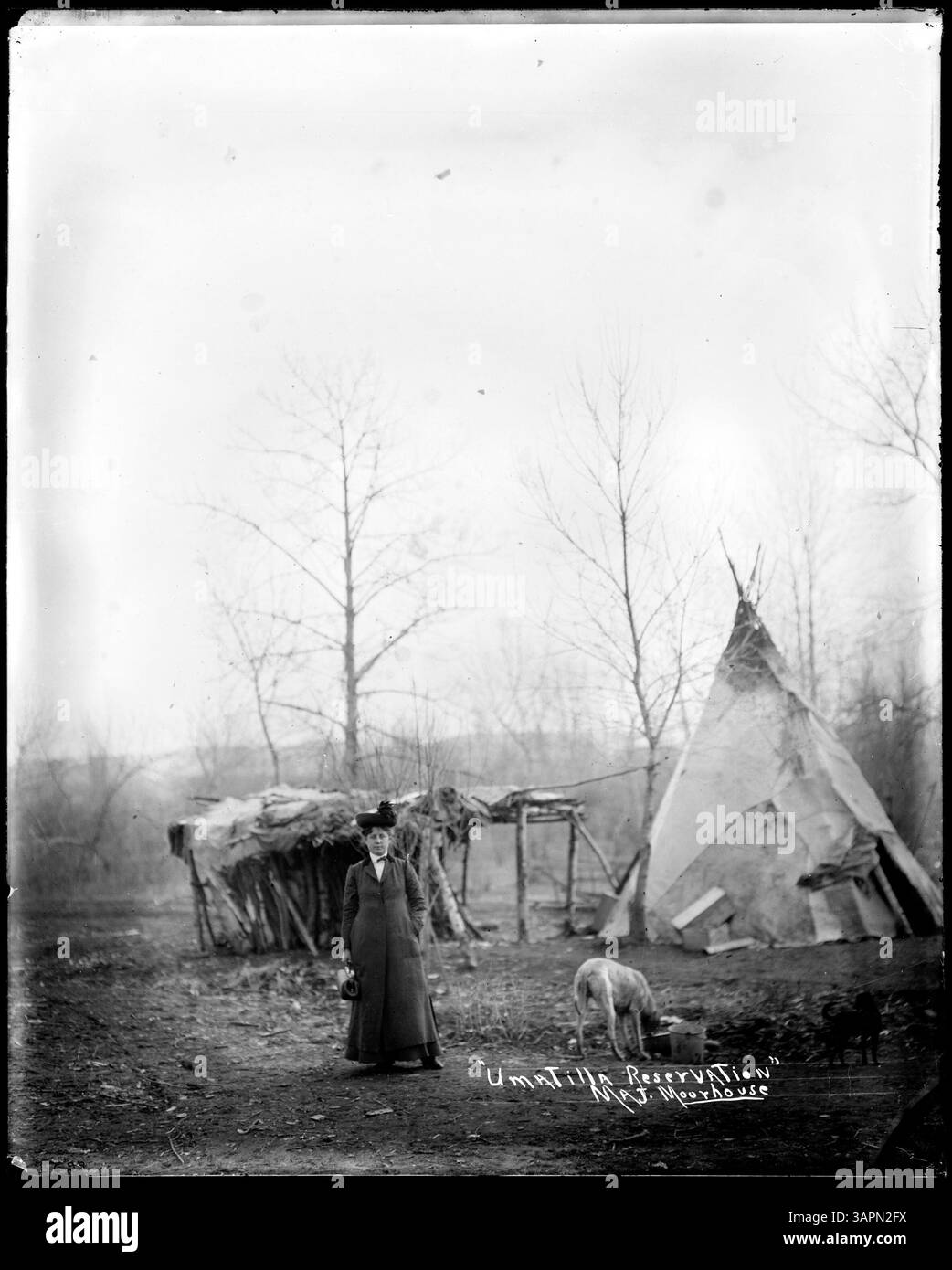 This photograph shows individual Indian camps on the Umatilla Indian ...