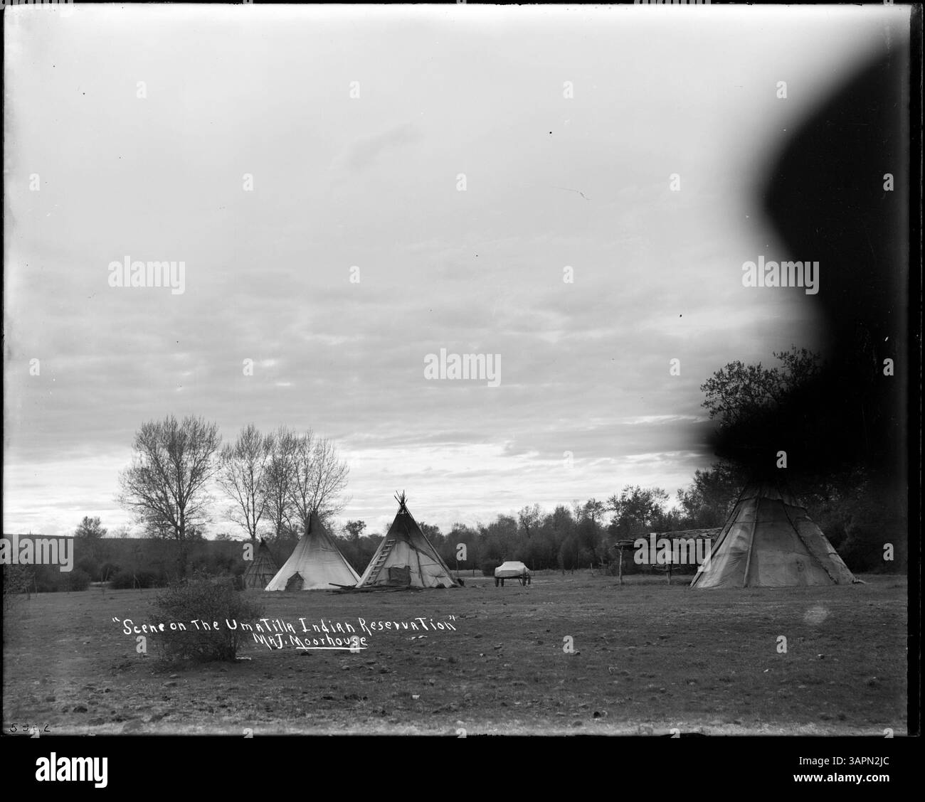 Lee Moorhouse captured camps on the Umatilla Indian Reservation ...