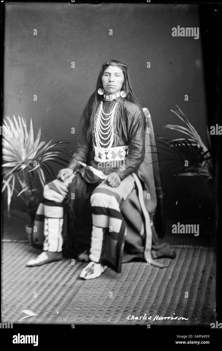 This portrait by Lee Moorhouse depicts Charlie Harrison, a Native ...