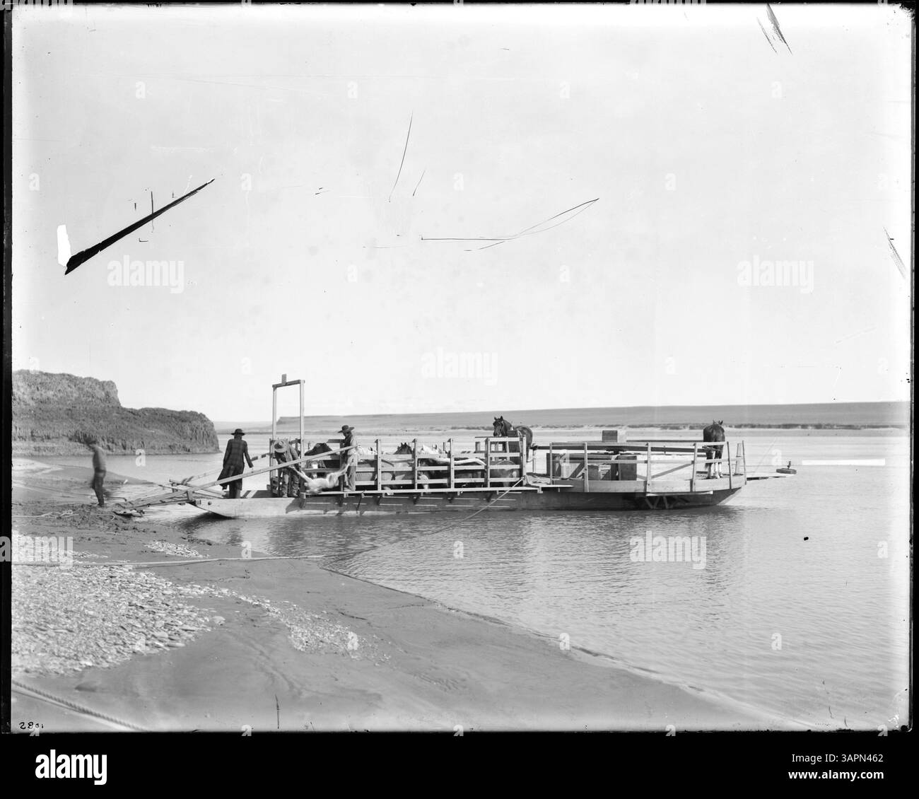 The photograph shows a horse-powered ferry crossing the Columbia River ...