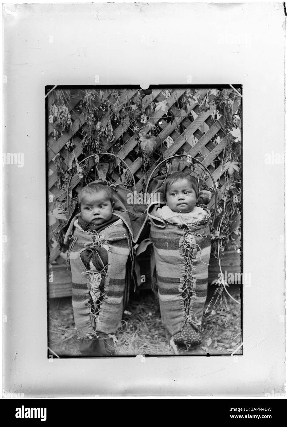 The image depicts Cayuse twins, highlighting their heritage and ...