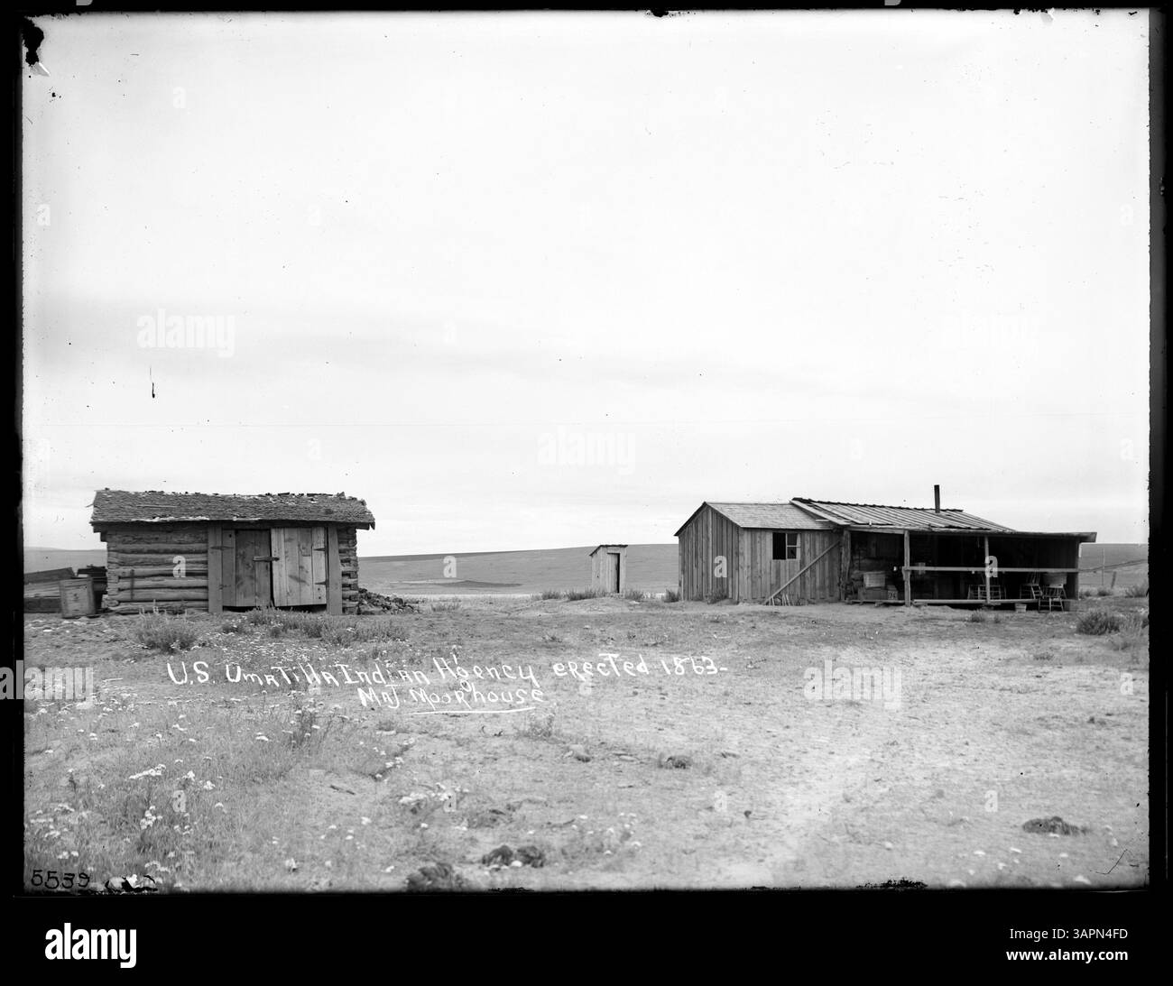 This photograph, *PH036 5539*, by Lee Moorhouse, shows the Umatilla ...