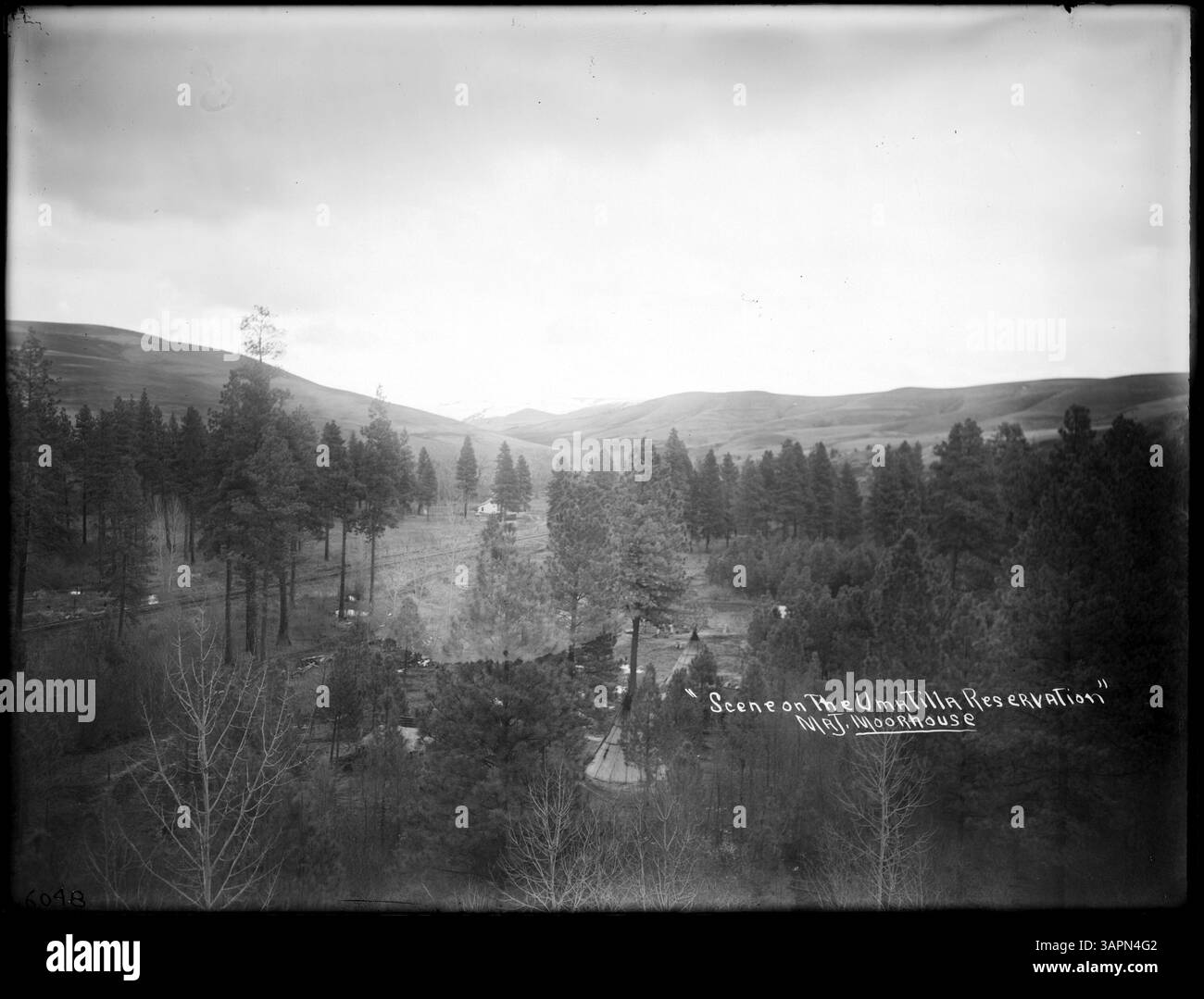 This image shows two tipis and a small cabin with a chimney in a grove ...
