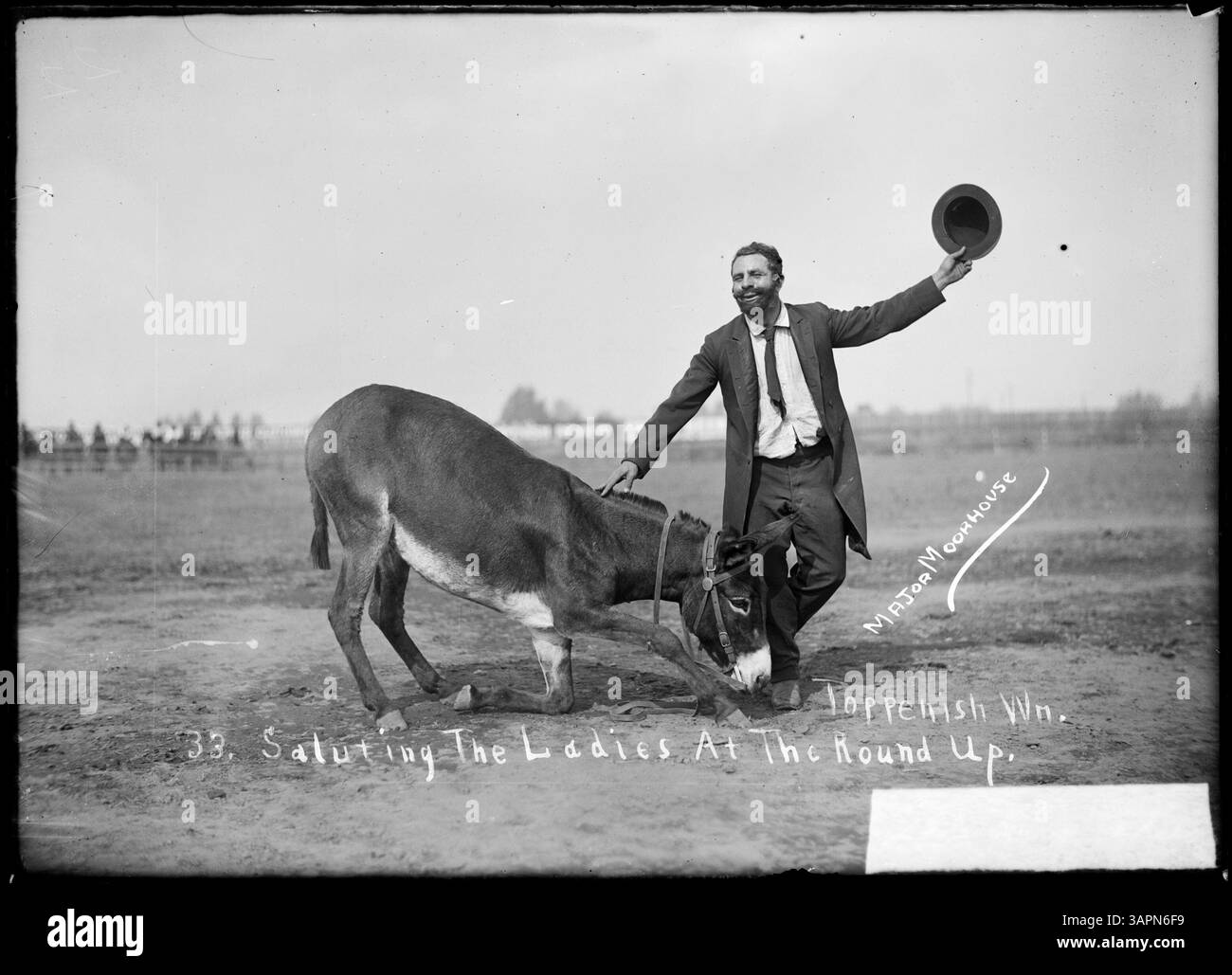 This photograph captures a donkey bowing, presenting a moment of animal ...