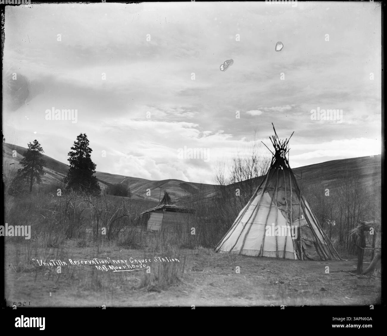 Photograph depicting two tipis on the Umatilla Reservation near Cayuse ...