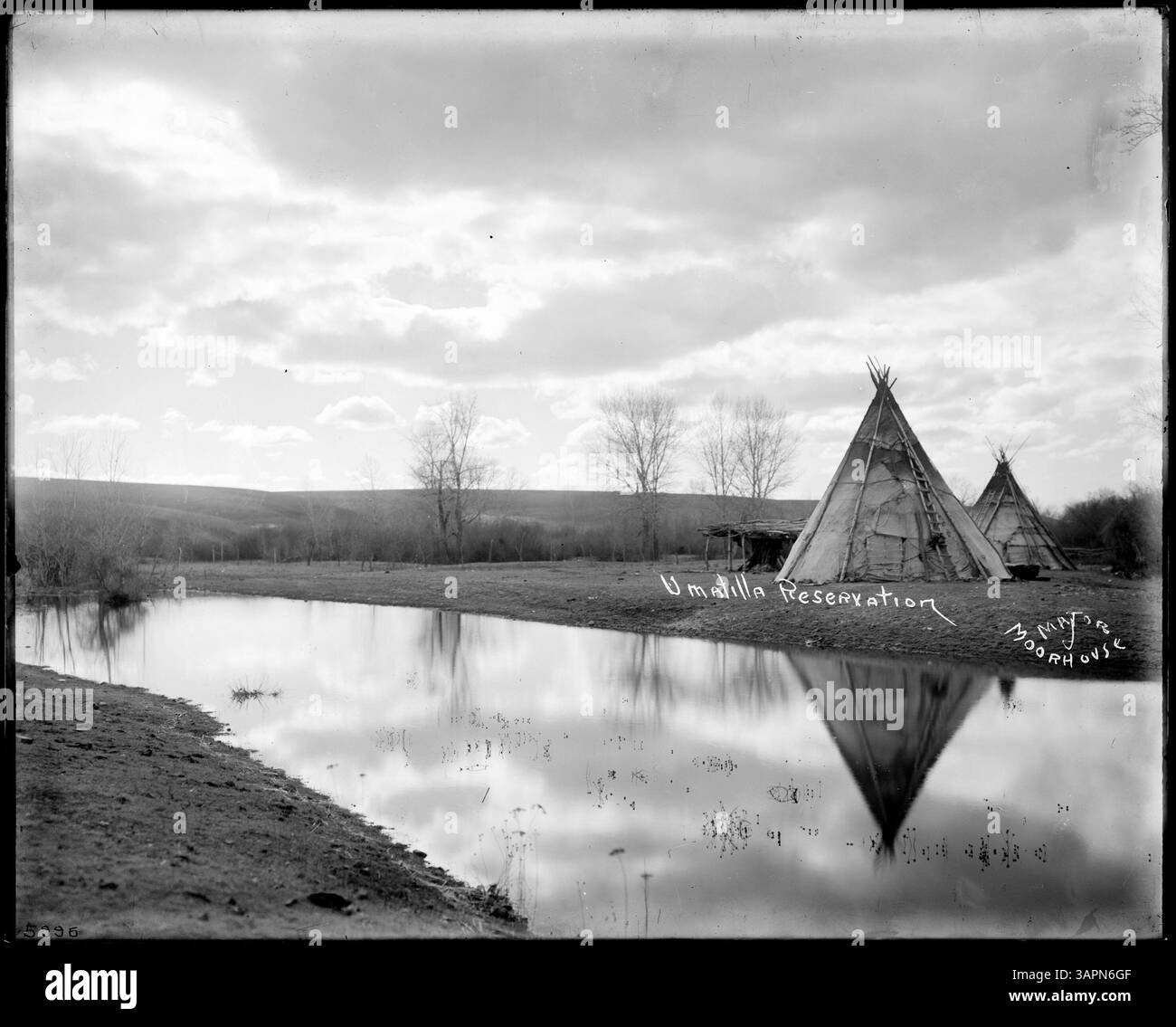 This photograph shows camps on the Umatilla Indian Reservation ...