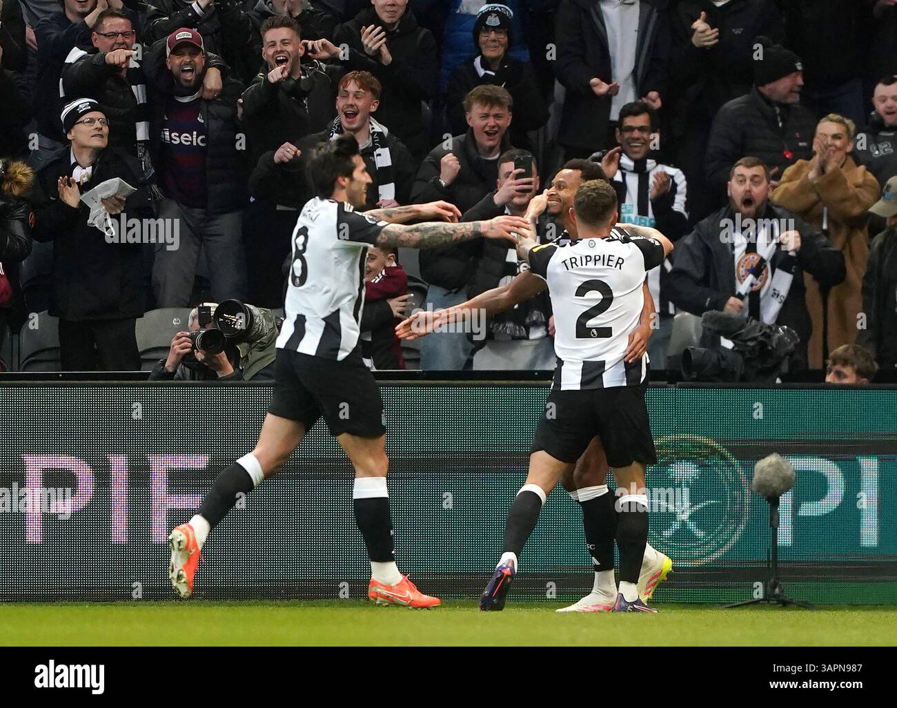 Newcastle United's Jacob Murphy celebrates scoring their side's first ...