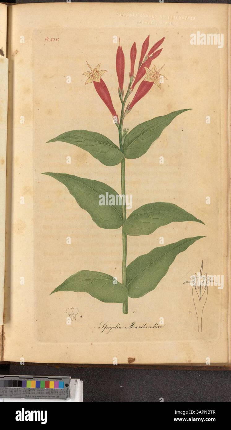 This 'American Medical Botany' collection provides an extensive look at ...