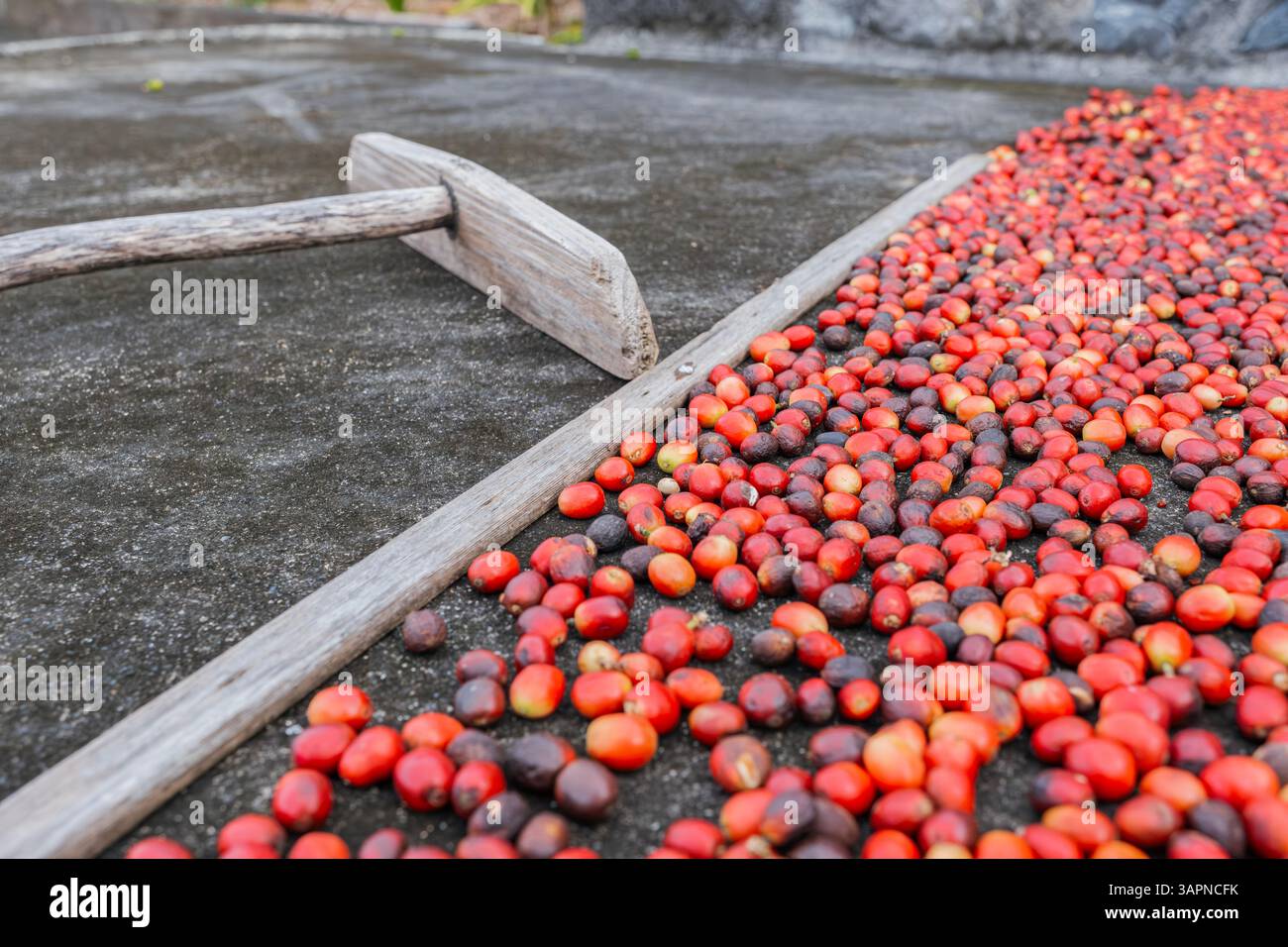 Working process on concrete plant hi-res stock photography and images ...