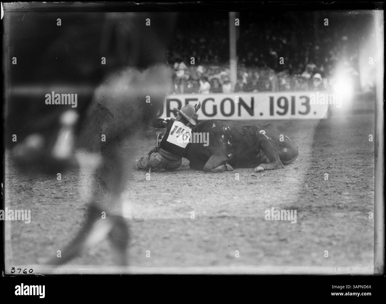 This photograph shows a bulldogging event, a rodeo sport where a rider ...