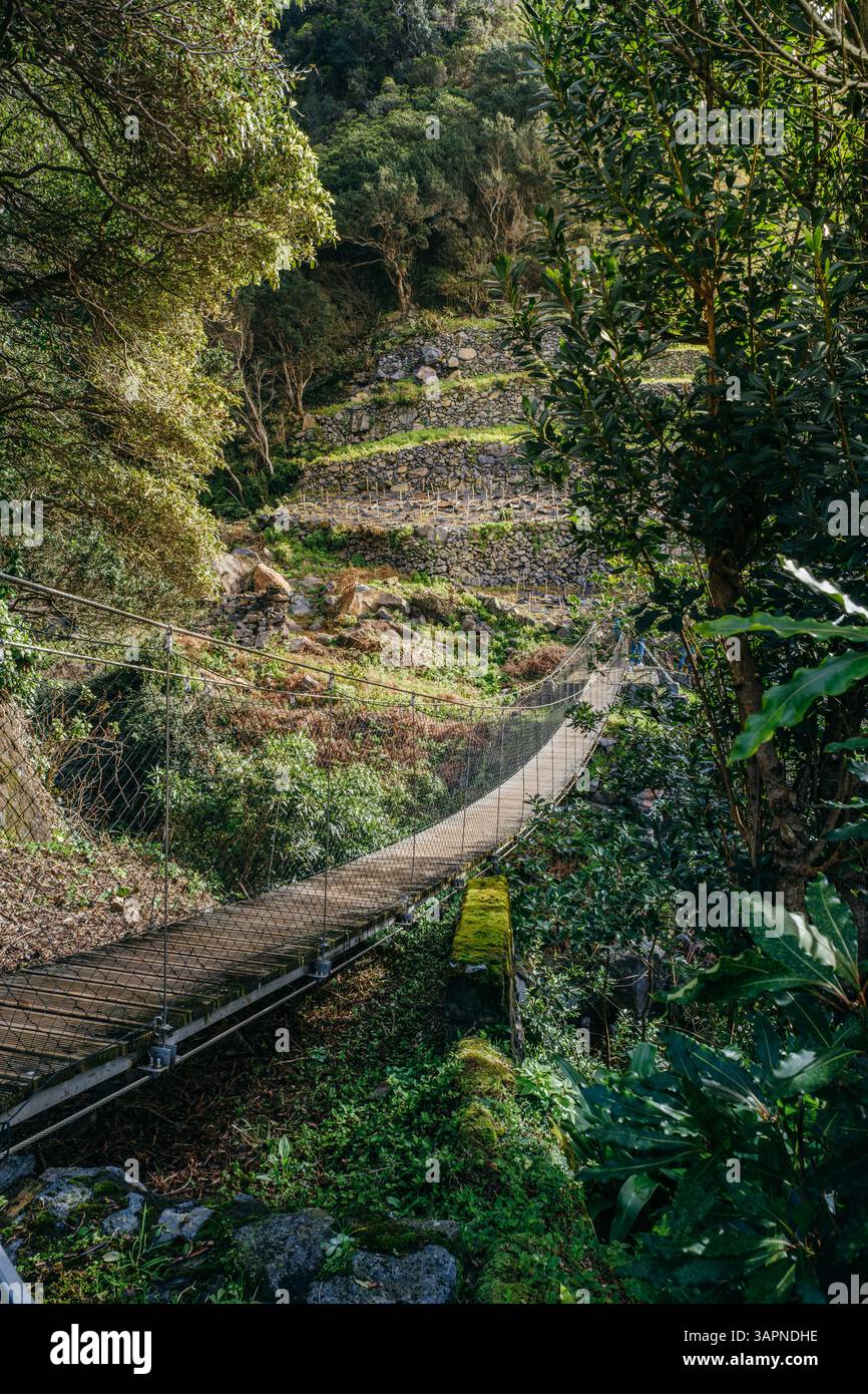 Azorean trail hi-res stock photography and images - Alamy