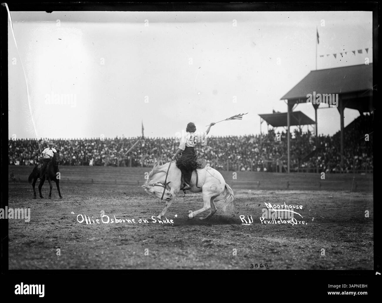 This photograph captures Ollie Osborn riding bucking horses named Snake ...