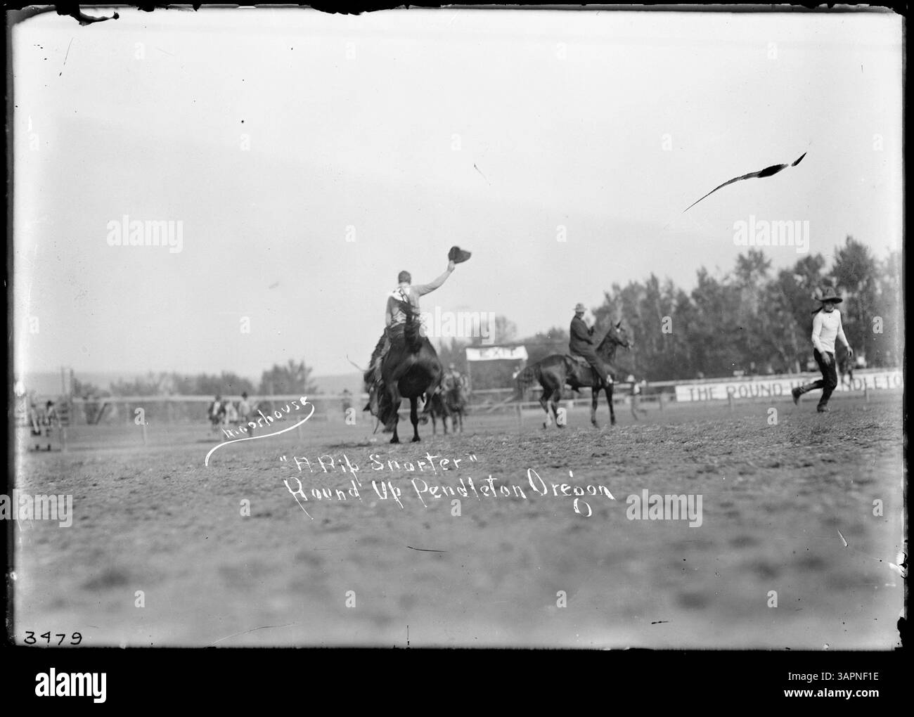 This photograph, part of the Lee Moorhouse collection, depicts bucking ...