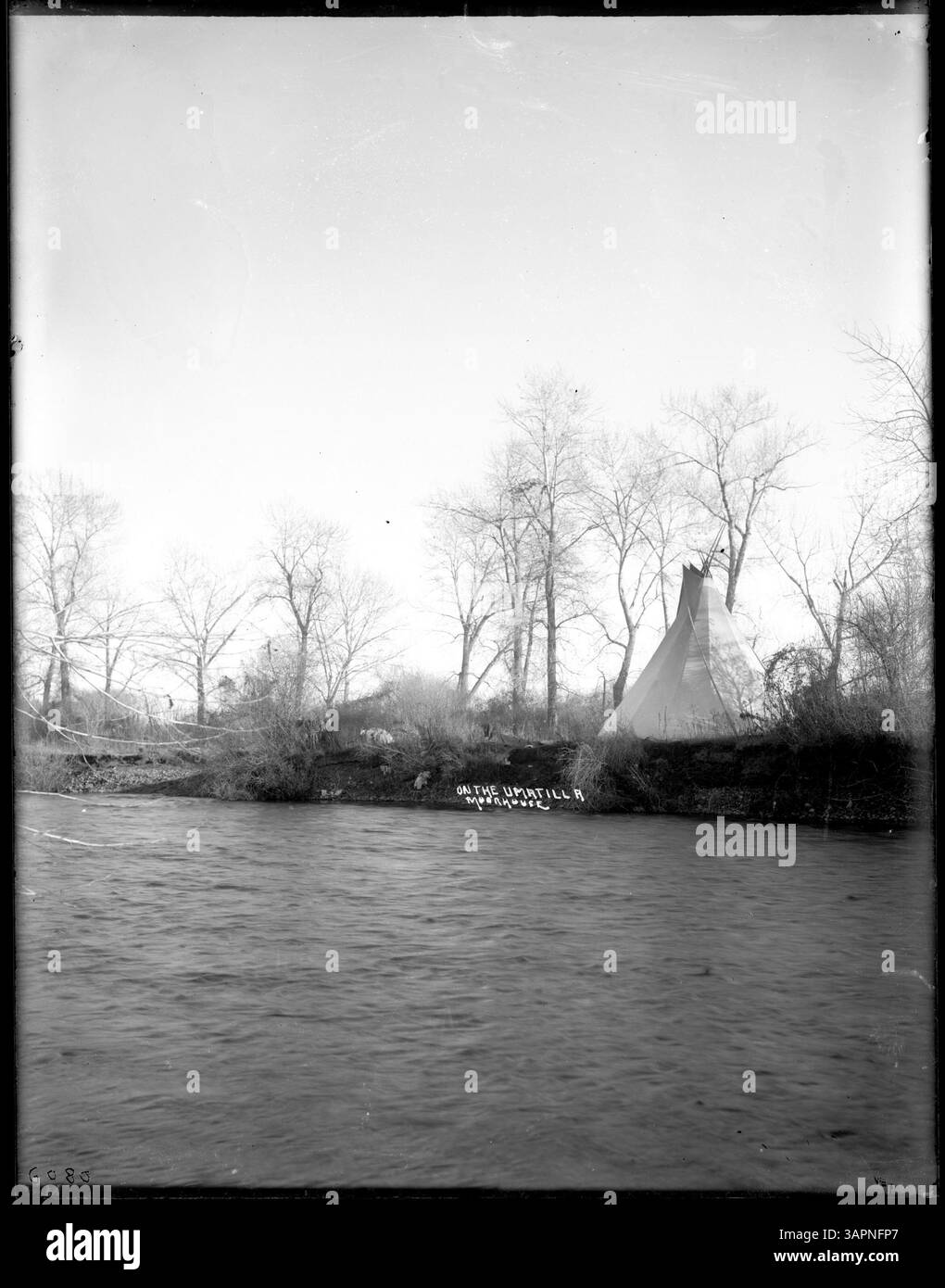 This photograph from the Lee Moorhouse collection depicts camps on the ...
