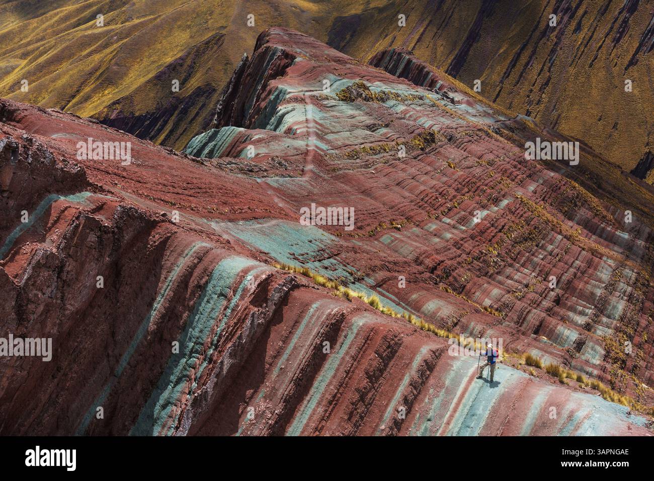 Tourist in surreal Palay Poncho colorful mountains in Peru Stock Photo ...