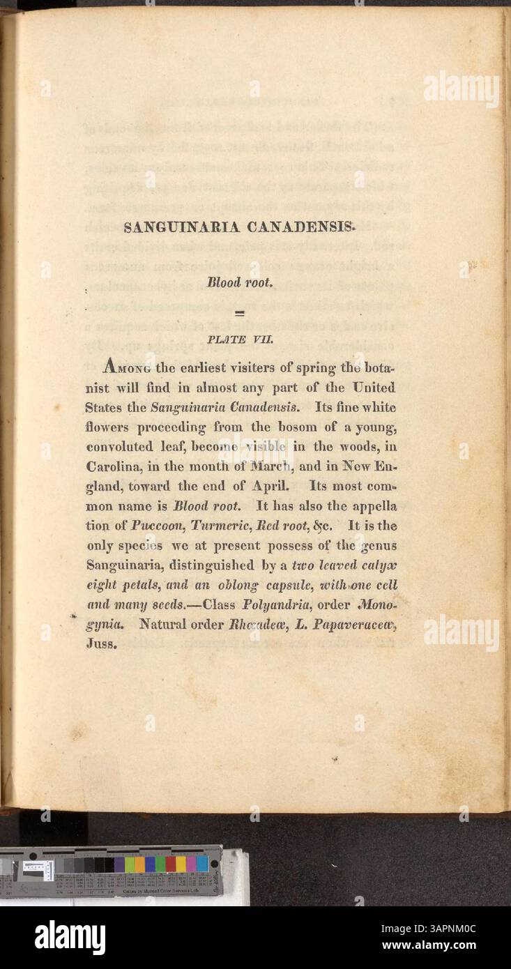 'American Medical Botany' features a collection of native medicinal ...