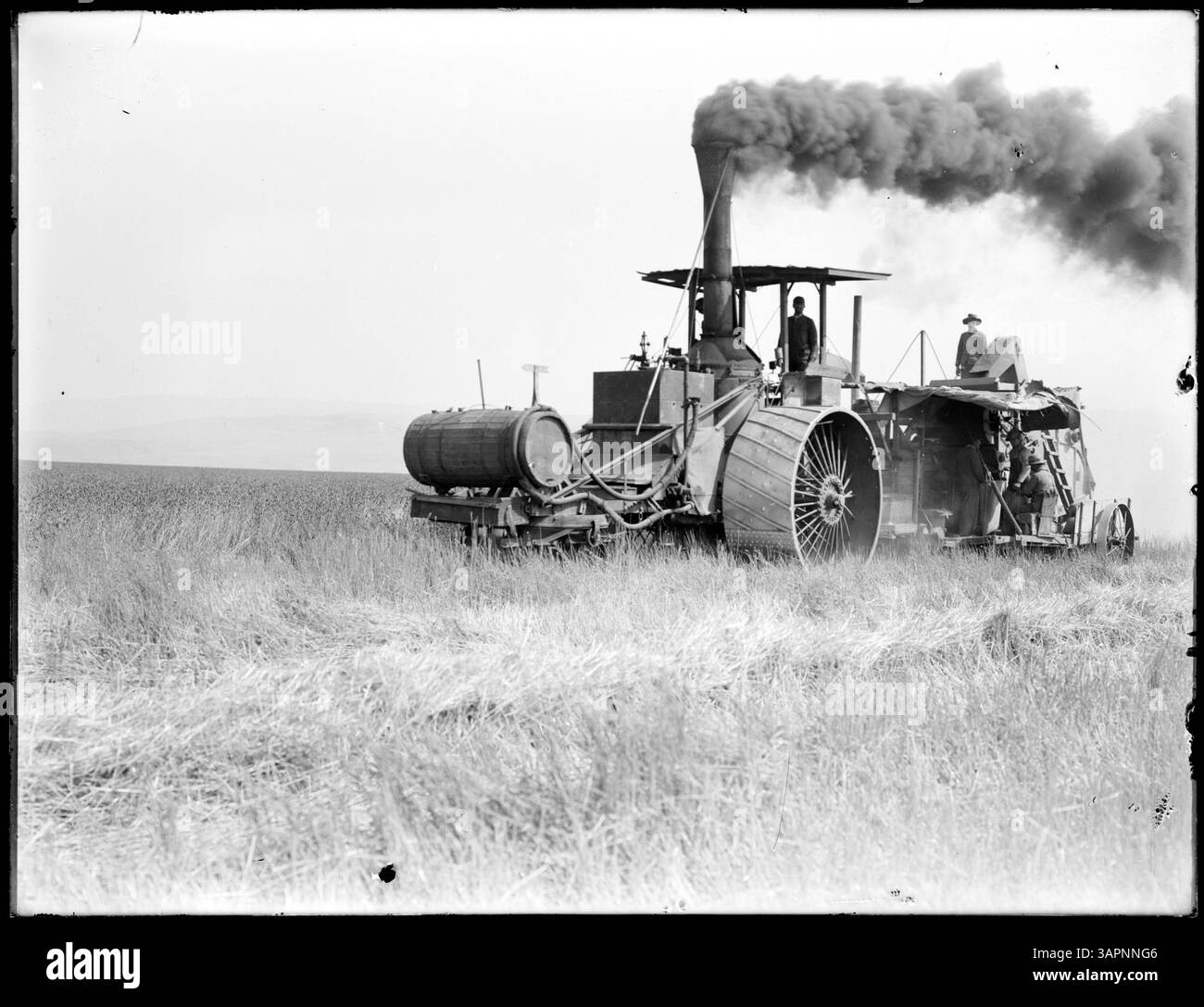 A photograph by Lee Moorhouse shows a steam tractor-drawn combine, a ...
