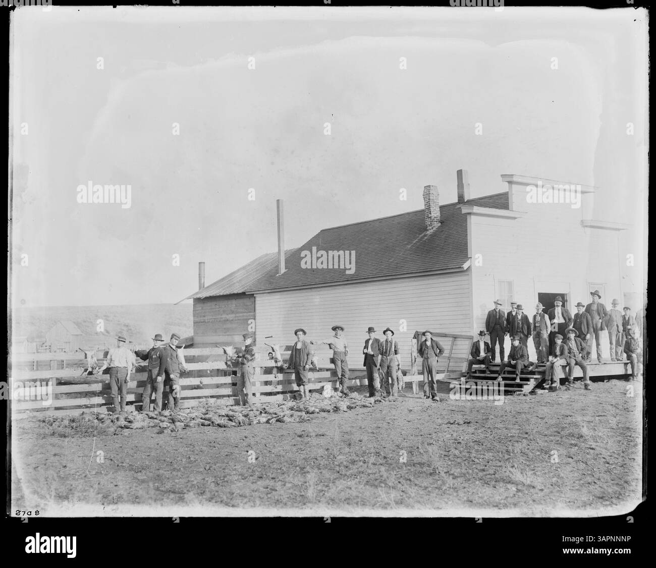 This Lee Moorhouse photograph captures the end of a rabbit drive on ...