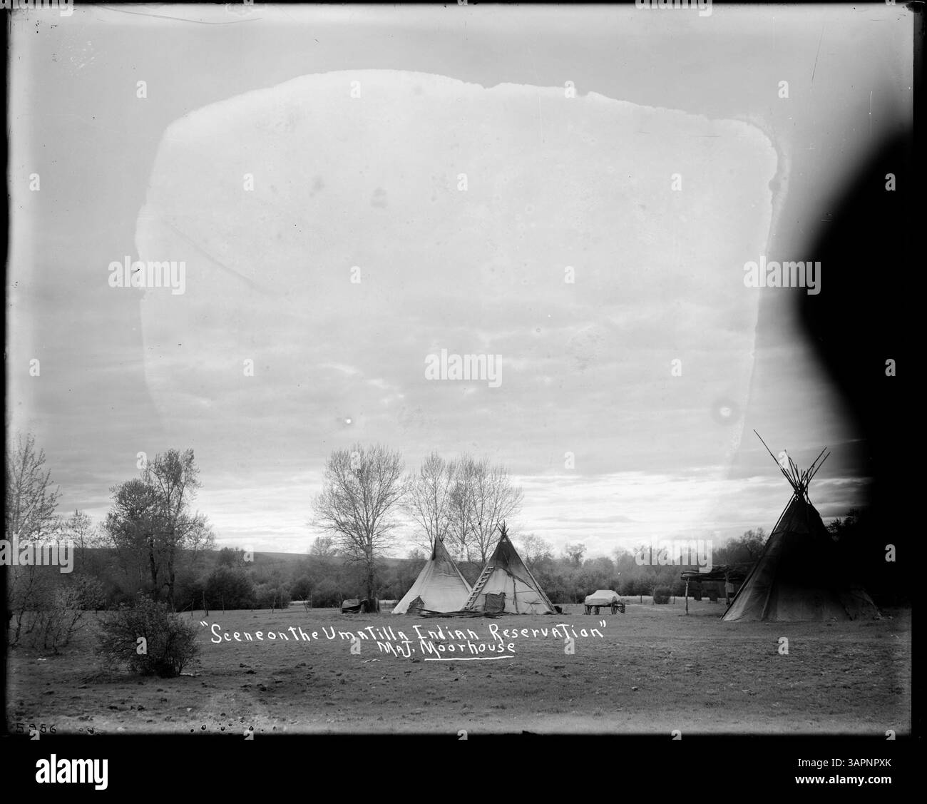 This photograph shows camps on the Umatilla Indian Reservation ...