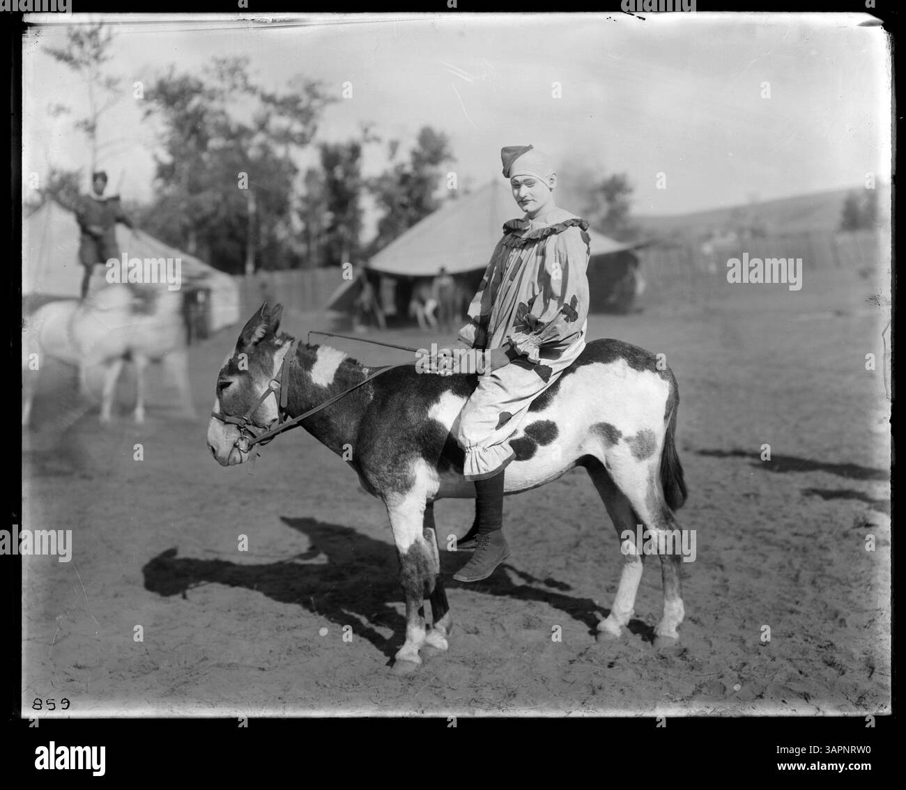 Photograph of a clown riding a donkey, part of the Sells-Gray Circus ...