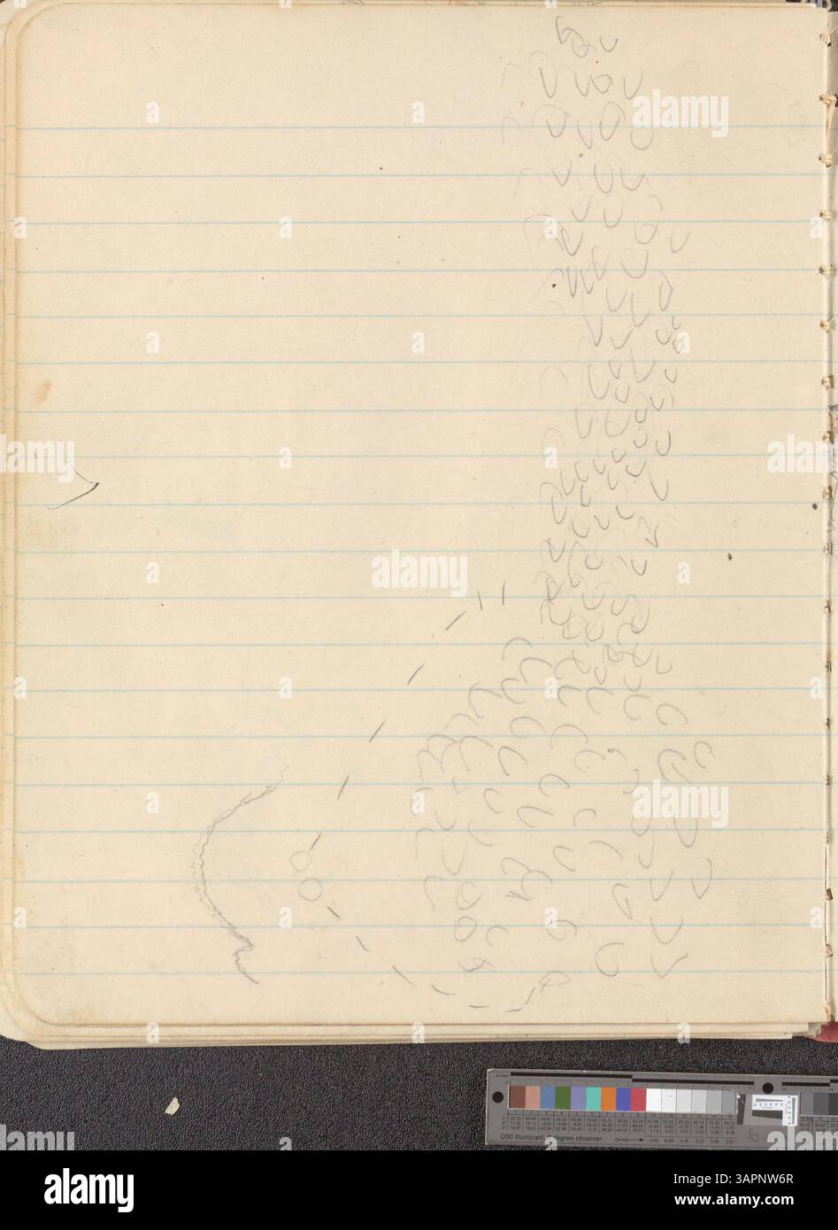 Sketchbook by an unknown artist depicting scenes of Nez Perce and ...