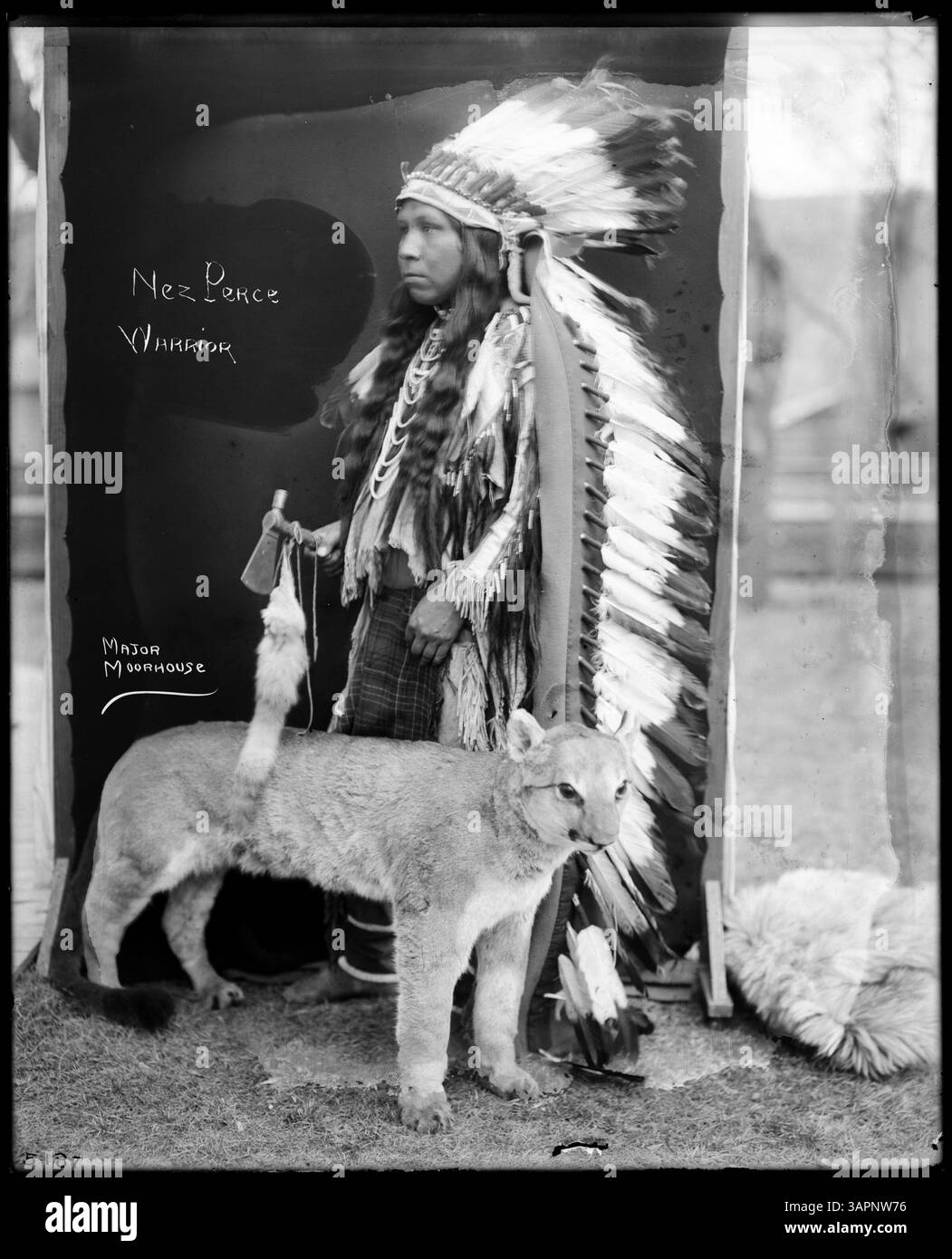 This photograph by Lee Moorhouse captures a Nez Perce Indian in a war ...