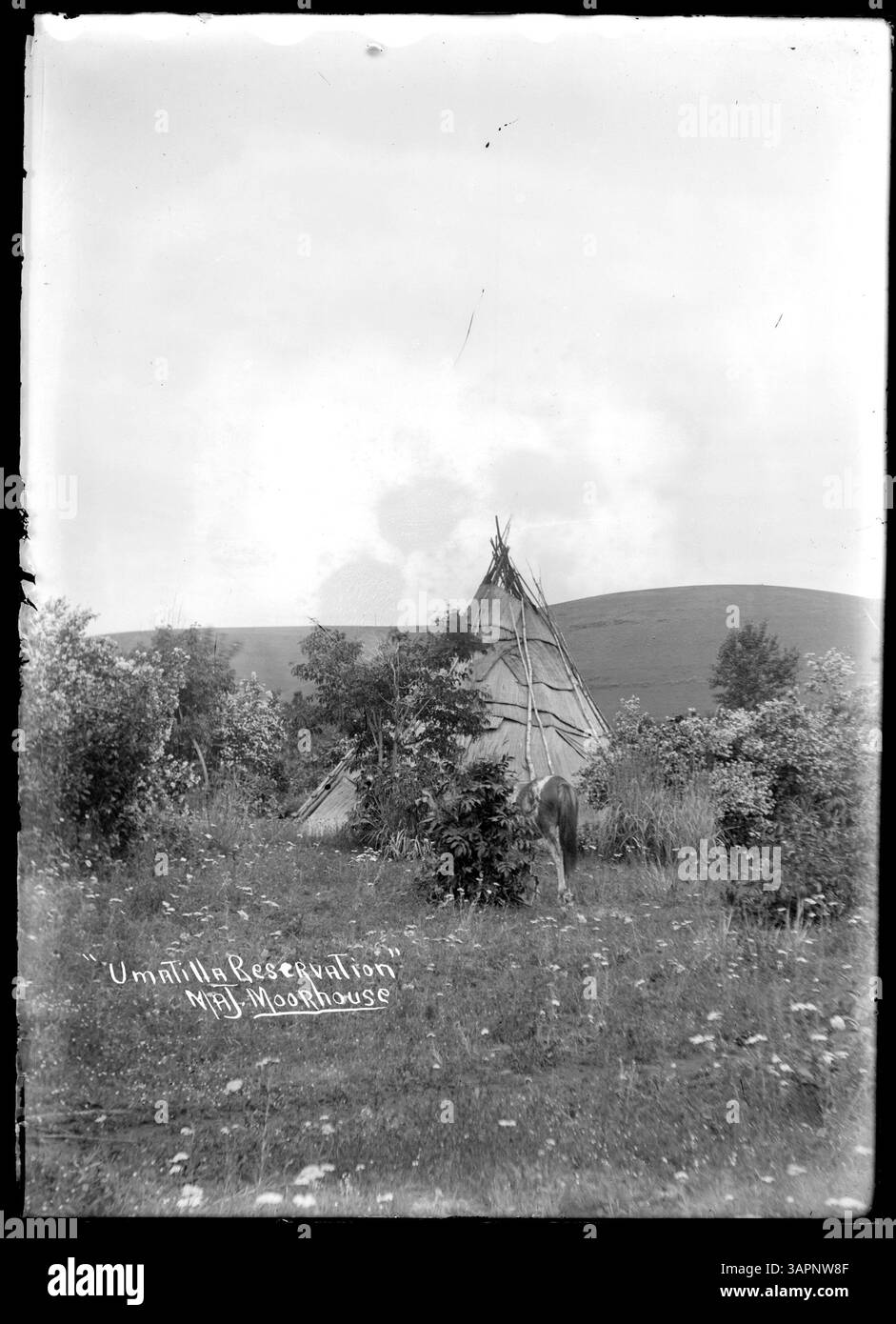 A woman, child, tipi, and horse captured in a historic photograph by ...