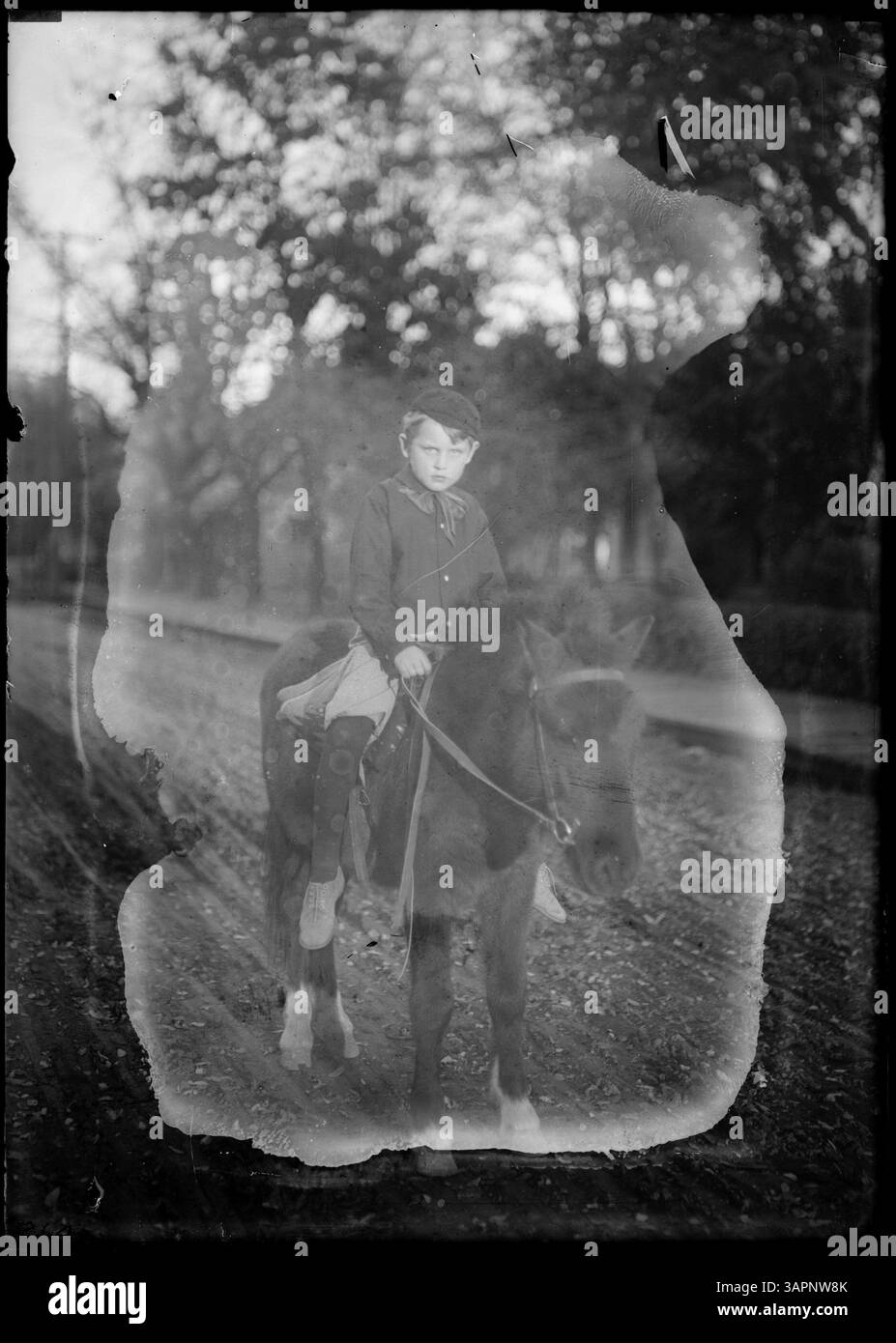 Photograph of small children riding a white pony. Captured by Lee ...