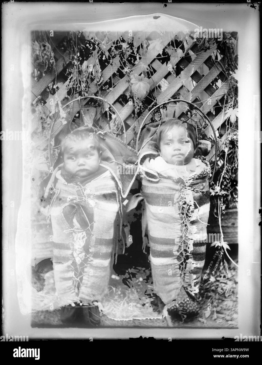 Cayuse culture hi-res stock photography and images - Alamy