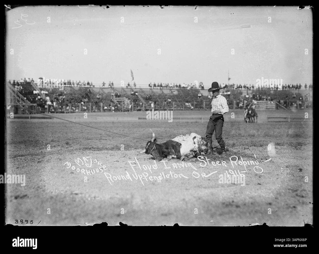 The photograph shows Floyd Irwin performing steer roping, a popular ...