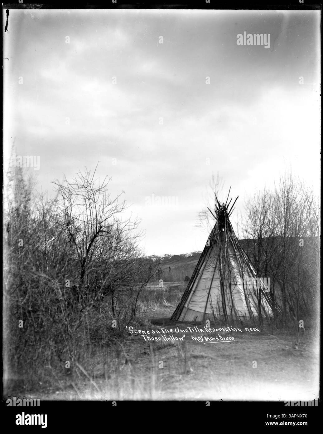A photograph by Lee Moorhouse showing camps on the Umatilla Indian ...