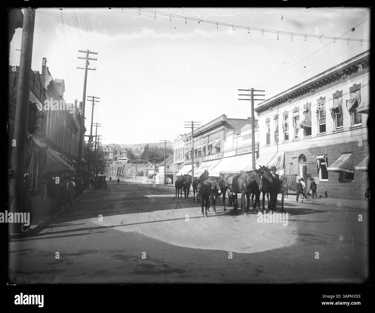 The photograph shows a horse parade down Main Street in Pendleton, capturing the display of ...