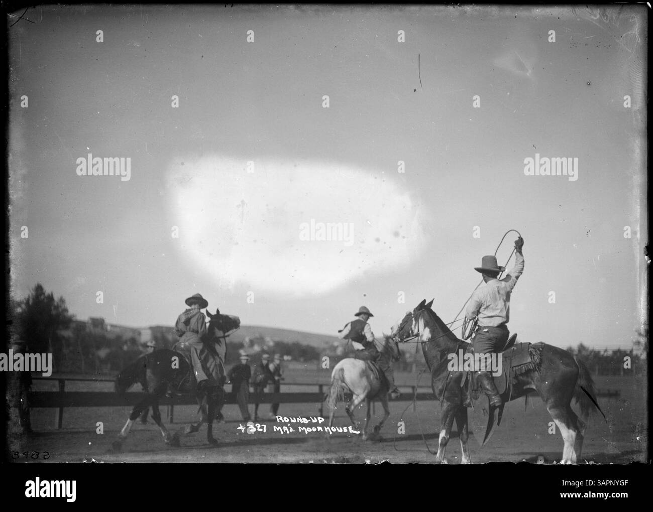 A photograph showing bucking horses, a moment captured during a rodeo ...