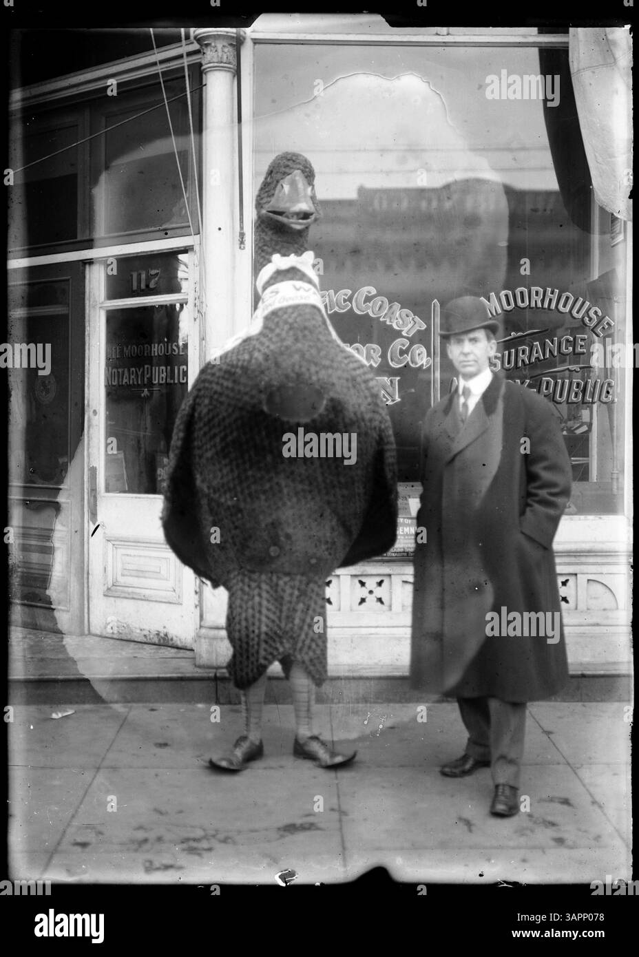 This photograph by Lee Moorhouse depicts a Red Goose School Shoes goose ...