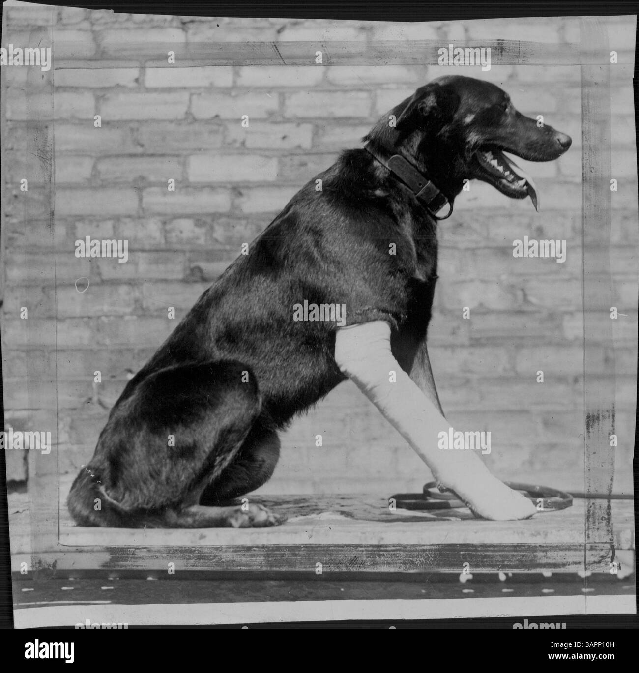 Concern for well being Black and White Stock Photos & Images - Alamy