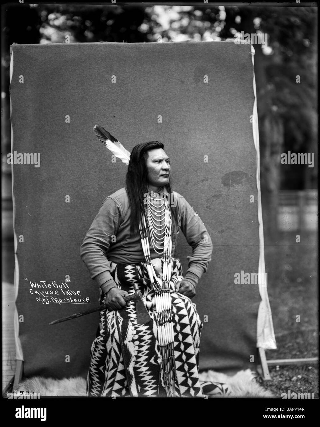 This photograph shows White Bull, a Cayuse man, in various traditional ...