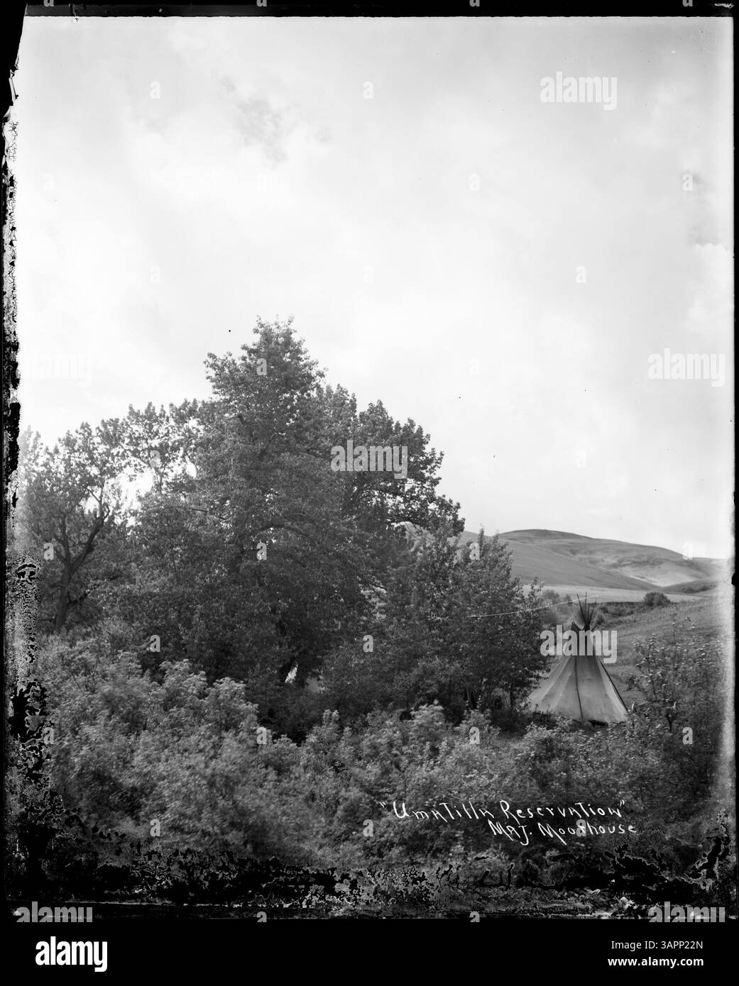 Photograph of a tipi on the Umatilla Reservation, showcasing the ...