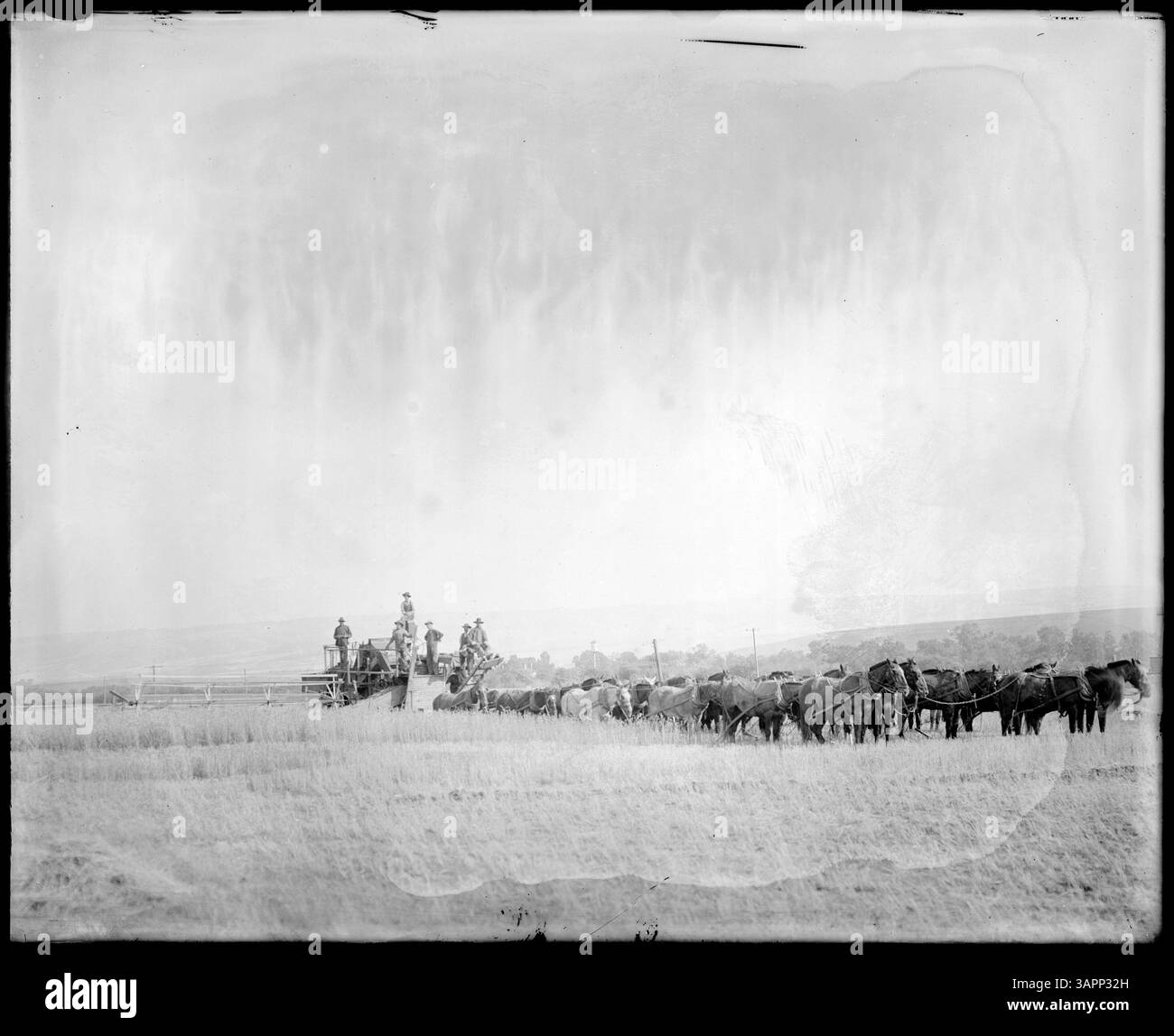 This photograph from the Lee Moorhouse collection at the University of ...