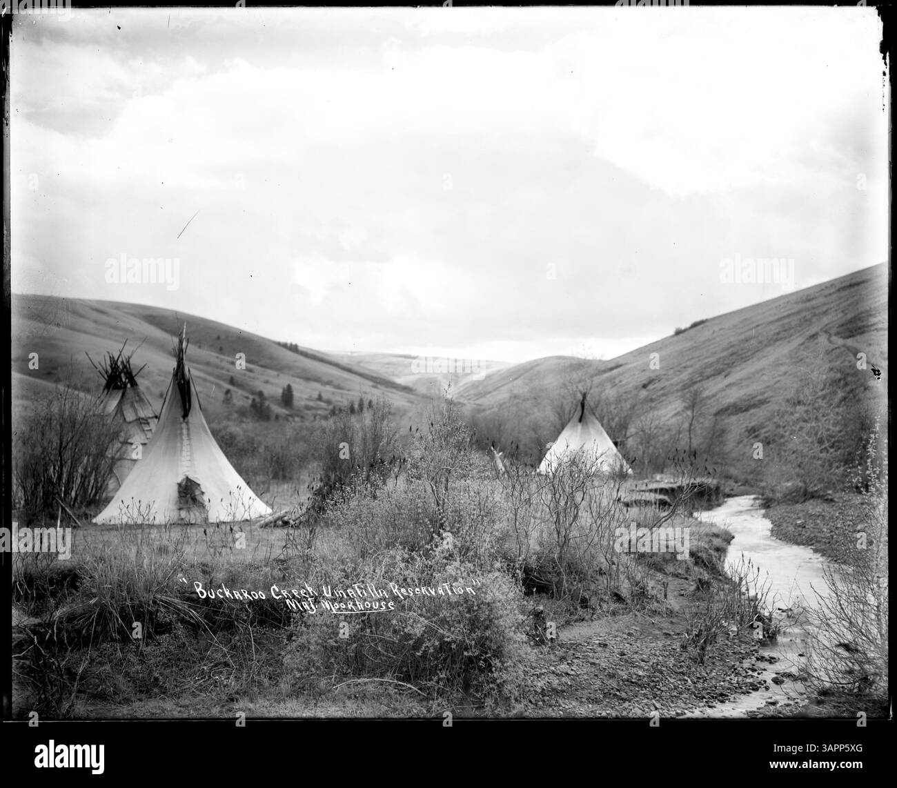 This photograph captures Indian camps along Buckaroo Creek on the ...